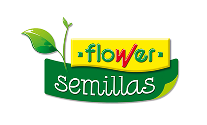 productosflower.com